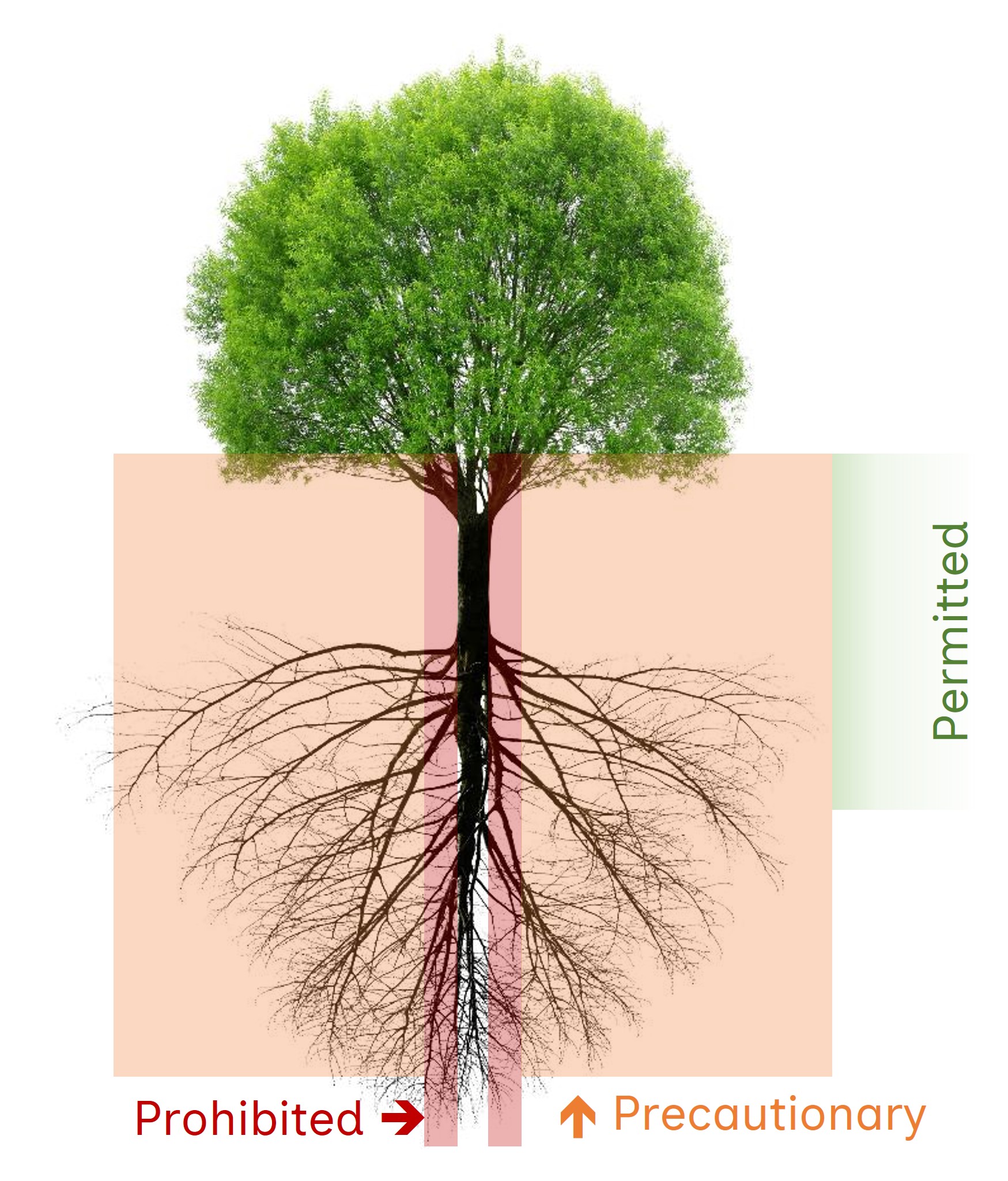 Tree Protection - Central London Moling Services